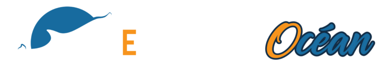 Sorties En Mer Et Observation Des Dauphins – Explore Océan Pays Basque